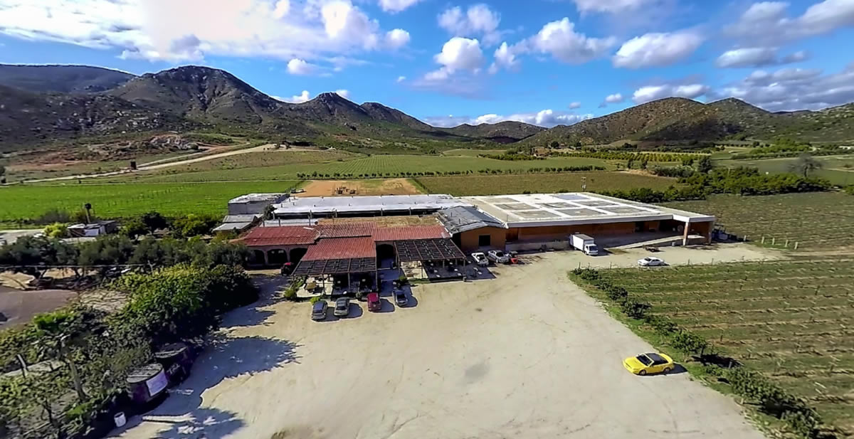 Visita la Ruta del Vino - Vinícolas Hoteles Restaurantes Cavas y Bodegas