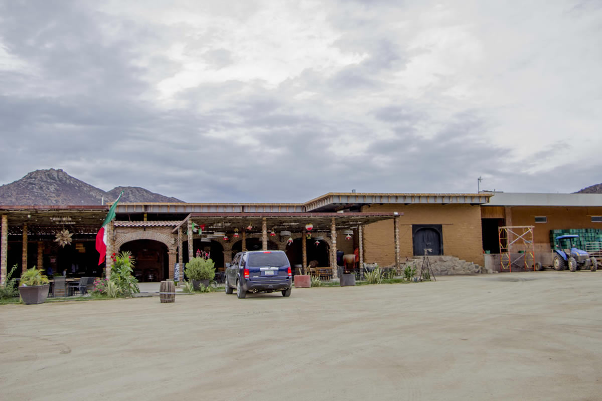 Barón Balché - Rutas del Vino de México